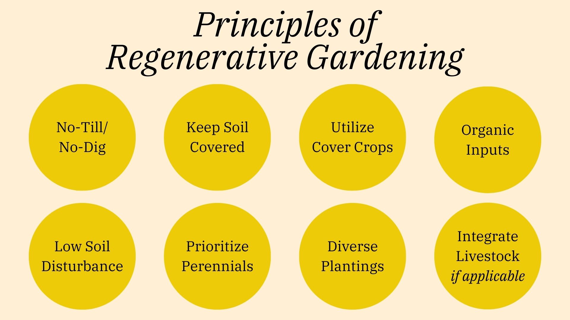 A Complete Transition Guide to Regenerative Gardening: Sustainability in Action